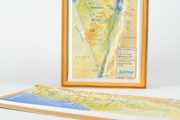 3D Israel Magnet - BBI